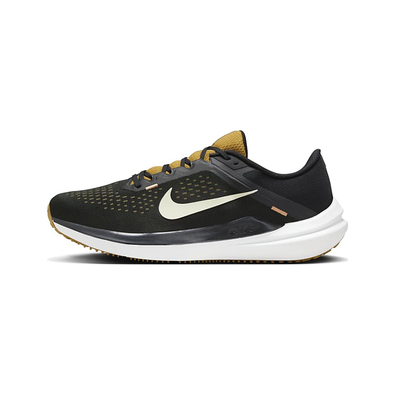 Nike Winflo 10 DV4022-009 from 91,00
