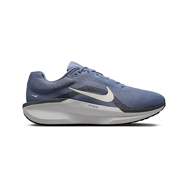 Nike Winflo 11 World Armory FJ9509-405 from 182,00