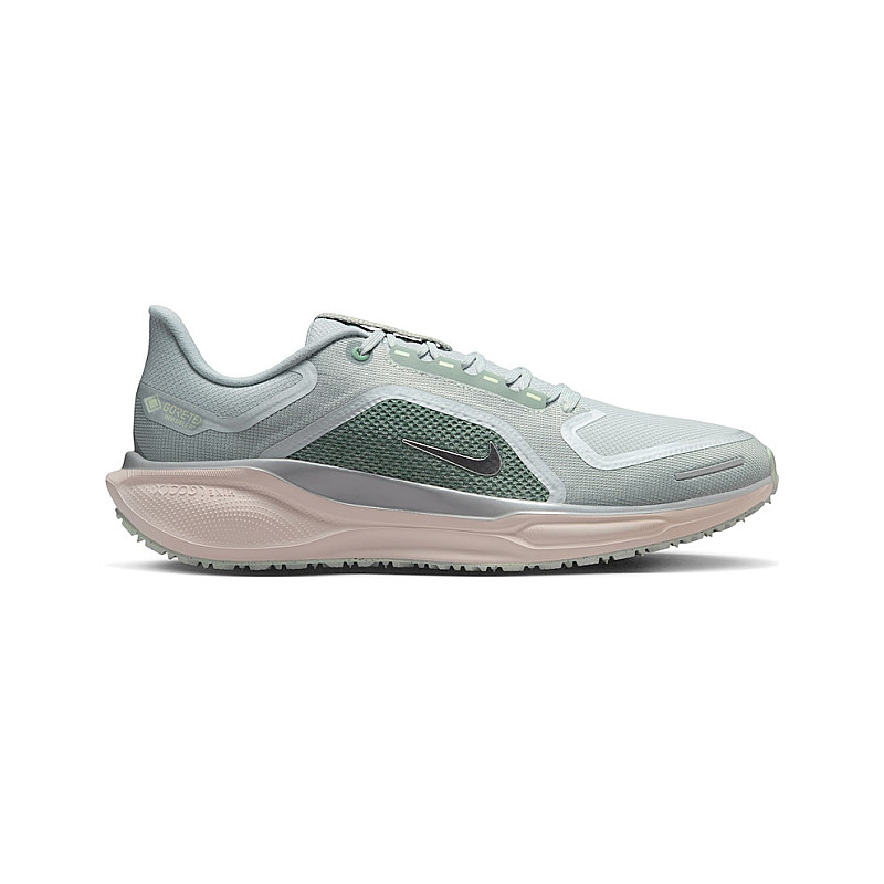 Nike Air Zoom Pegasus 41 Gore TEX Light Pumice FQ1356-007 ab 110,00