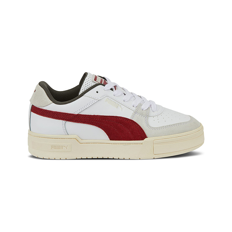 Workday Puma Login